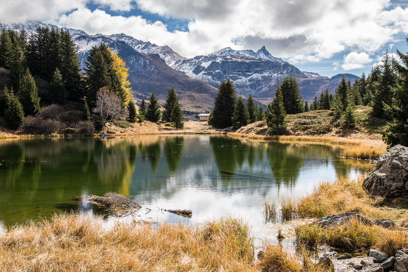 Forschen auf der schönsten Alp - In der Natur unterwegs